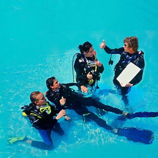 Orca Diving Center – The Way to Happiness